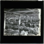 Port Adelaide’s wool stores | Maritime Museum